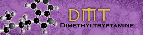 Dimethyltryptamine (DMT) - A Thorough Explanation